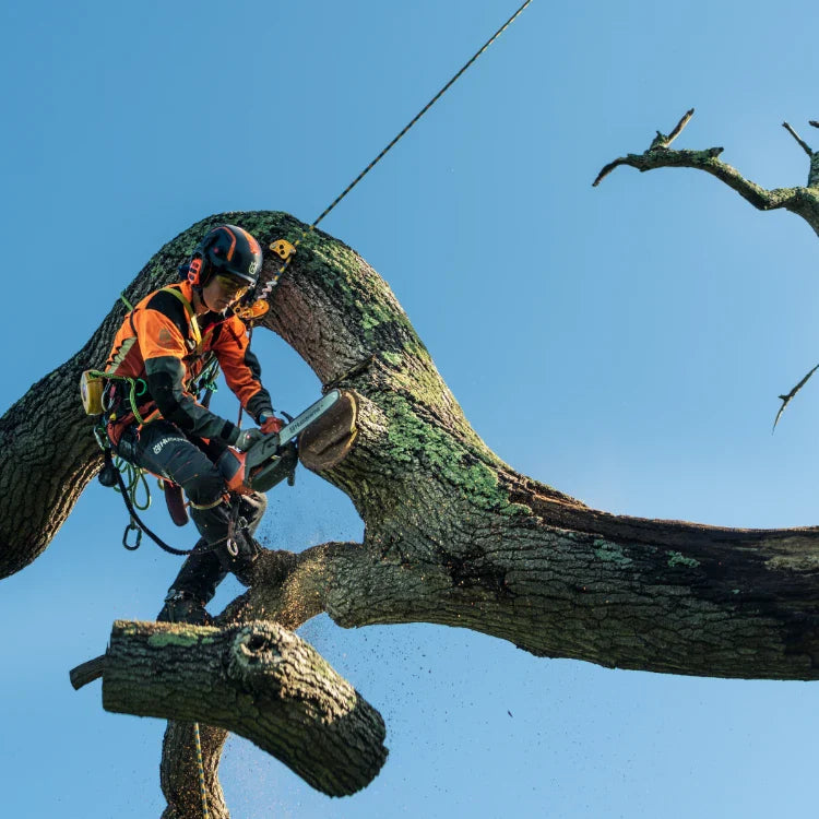 Tree Climbing Arborist Kits – Skyland Equipment Ltd