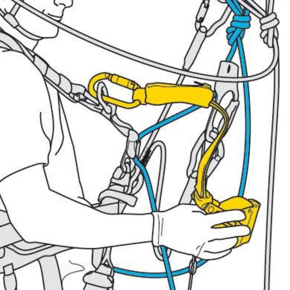Petzl ASAP Lock Fall Arrest Back Up Safety Device – Skyland Equipment Ltd